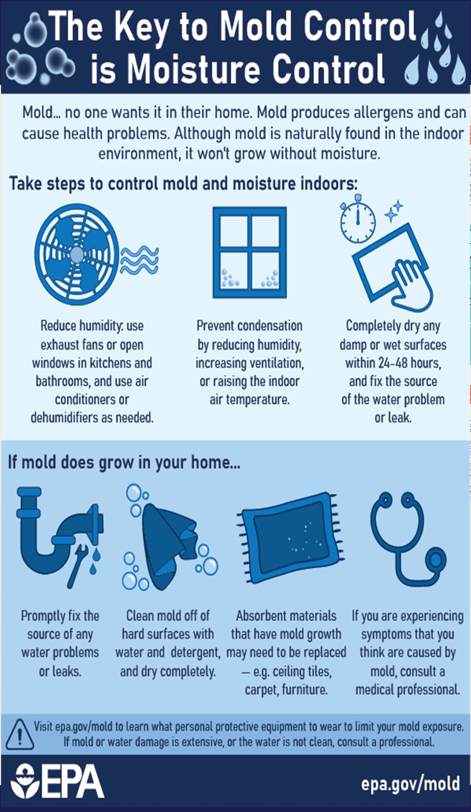 Texas Mold Guy | Inspections & Remediation for All Types of Mold